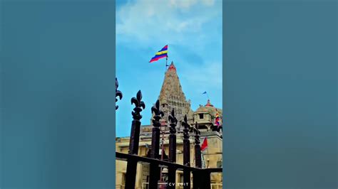 Youtubeshorts Love Youtubevideos Shortsviral Shortsfeed