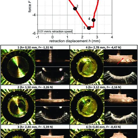 Force Retraction Displacement Curves With Six Indicated Deformation