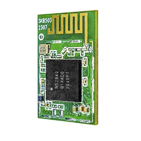 Nordic Nrf52840 Ble5 0 Wireless Bluetooth Module Skb503