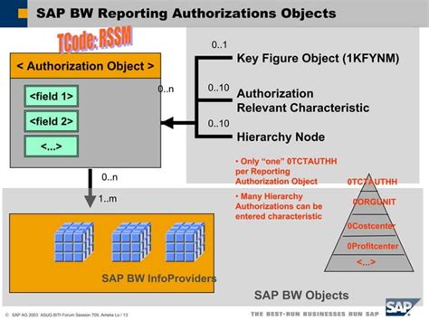 157265792 Advanced Features Of SAP BW Reporting Authorizations Pdf Cloud Computing Internet