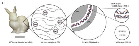 Digital Data StorageIts In Our DNA Columbia Science Review