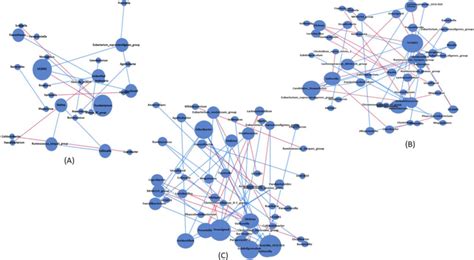 Genus Level Bacterial Association Network Analysis Based On Spearman Download Scientific