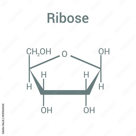 Chemical Structure Of Ribose C5h10o5 Stock Vector Adobe Stock