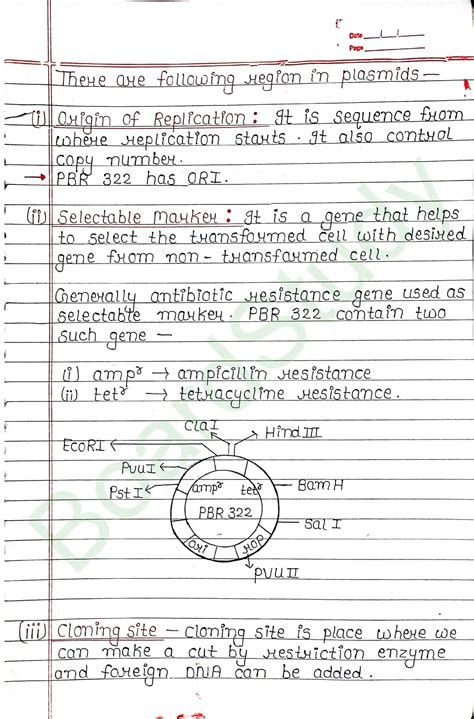 Ncert Class 12 Biology Biotechnology Principles And Processes Notes Handwritten Notes And Pdf