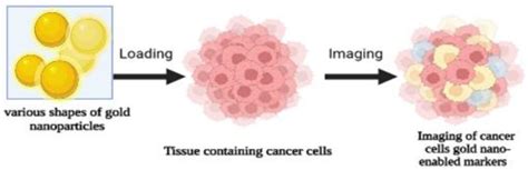 Nanotechnology In Cancer Diagnosis And Treatment