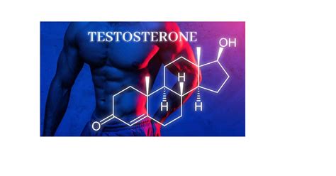 Best Exercises To Boost Testosterone In 2023