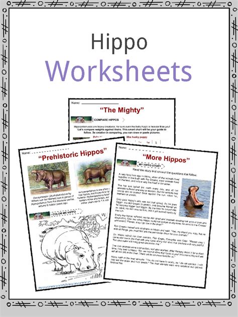 Sample Hippo Worksheets Hippo Worksheets Free Sample Thank You So