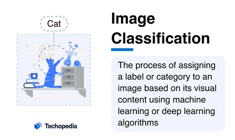 What Is Image Classification Definition Techniques And Uses Techopedia