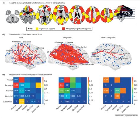 Figure 2 From Large Scale Brain Networks And Psychopathology A