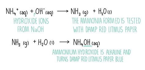 Ammonia Gas Test