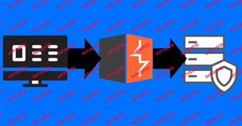 Web Application Hacking With Burp Suite Eshoptrip