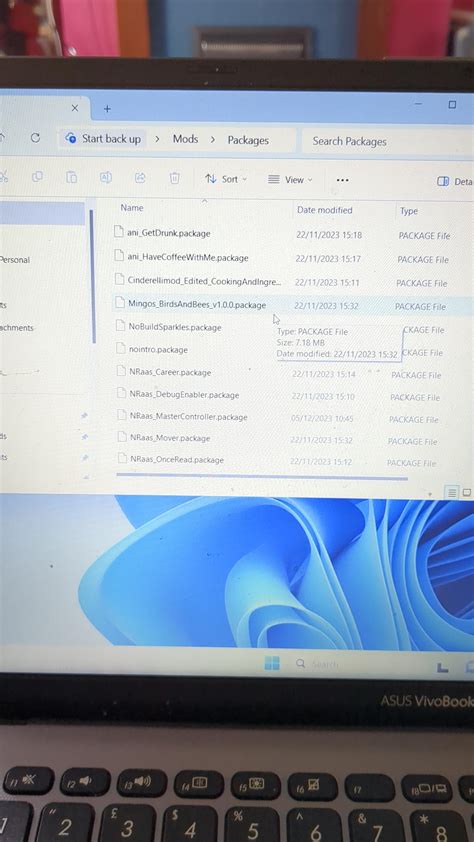 my mods won t work r sims3