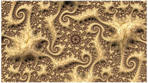 Fossilized Octopus By Photodo94 On Deviantart