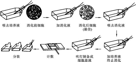细胞培养卡通 细胞培养卡通图 细胞卡通 大山谷图库
