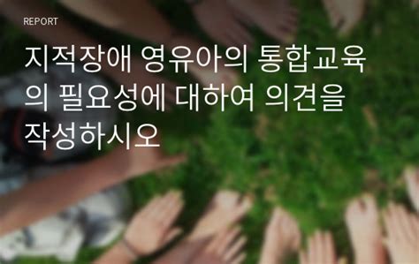 지적장애 영유아의 통합교육의 필요성에 대하여 의견을 작성하시오 레포트