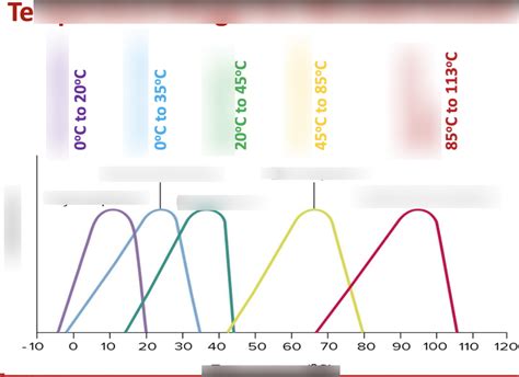 How Does Temp Affect Bacterial Growth At Evelyn Hampton Blog