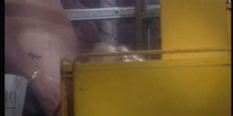 Fuck Sluts From Hell Scene 15