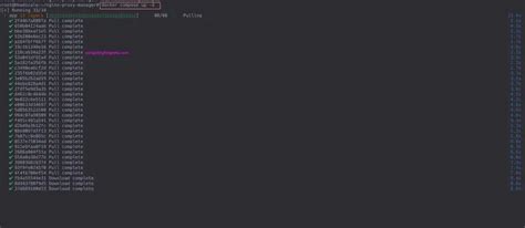 How To Run Nginx Proxy Manager In Docker Container Computingforgeeks