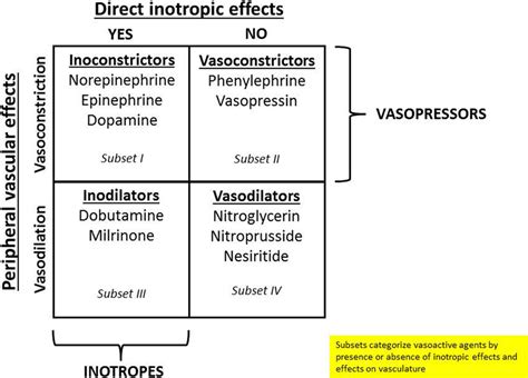 Proposed Classification Of Vasoactive Agents Download Scientific Diagram
