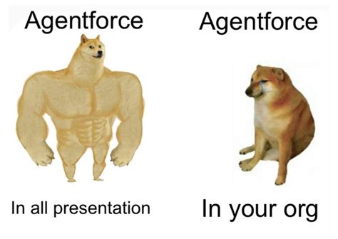 Mohamed B On Linkedin Agentforce Fridaymeme Salesforceai Agentforce Salesforce…