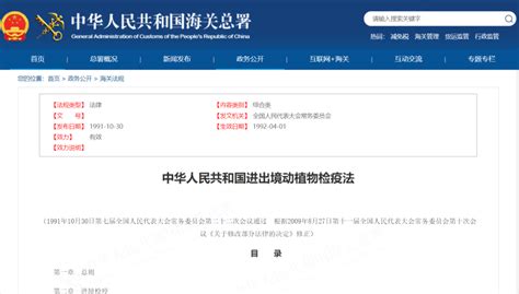 实用指南 一分钟，带你了解杨梅出口那些事 知乎