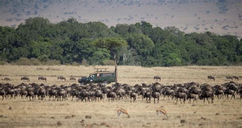 Error Discrete Value Supplied To Continuous Scale In R