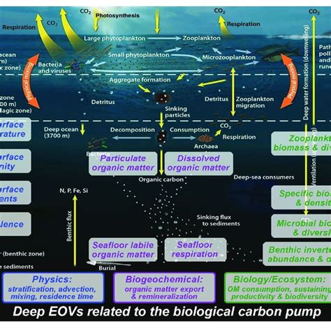 Global Ocean Observing System Goos Essential Ocean Variables Eovs Download Scientific