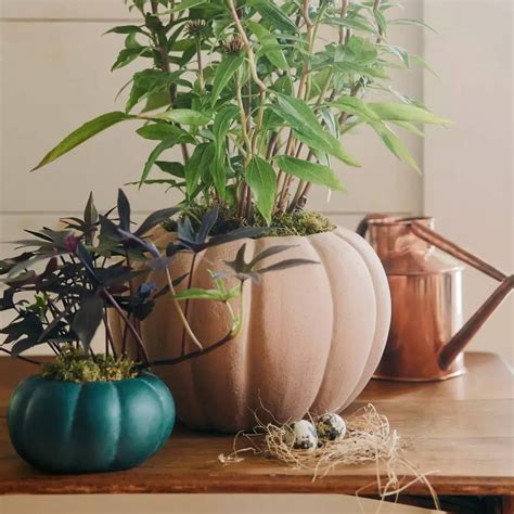 Pumpkin Terracotta Planters