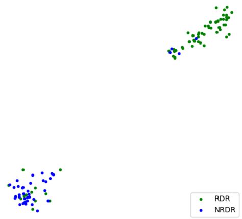 Github Twwinde Diabetic Retinopathy Detection
