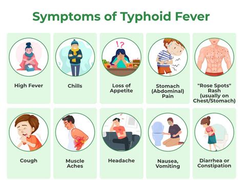 Fever Symptoms