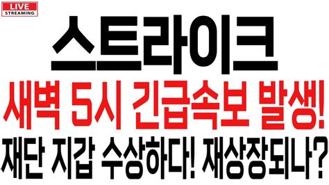 스트라이크 코인전망 긴급 새벽 5시 충격소식 발생 재단 지갑 수상한 움직임 포착됐다 결국 재상장 추진하나 Youtube