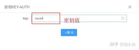 Kong认证插件之key Auth