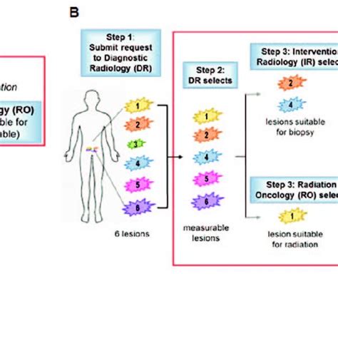 The Lesion Selection Tool Lst Workflow A The Six Step Lst Download Scientific Diagram