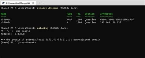 Powershellで名前解決をするコマンド「resolve Dnsname」 迷惑堂本舗