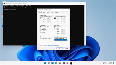 Windows Terminal Cant Be Set As Default Terminal Application R Windows11