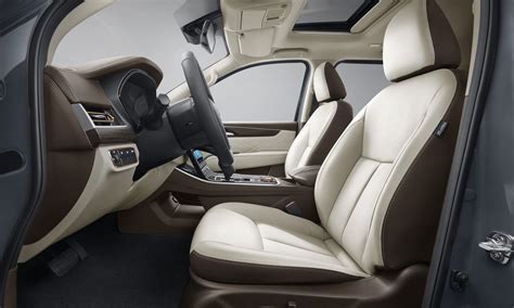 Oting Paladin Características Disponibilidad Y Opciones De Compra