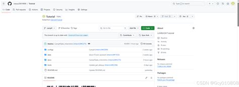 书生大模型实训营第4期—入门岛第3关：git基础知识 Csdn博客