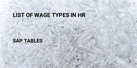 List Of Wage Types In Hr Table In SAP
