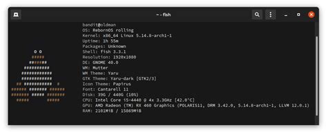 โชว์ Linux Ascii Logo พร้อมข้อมูลเครื่องผ่าน Terminal