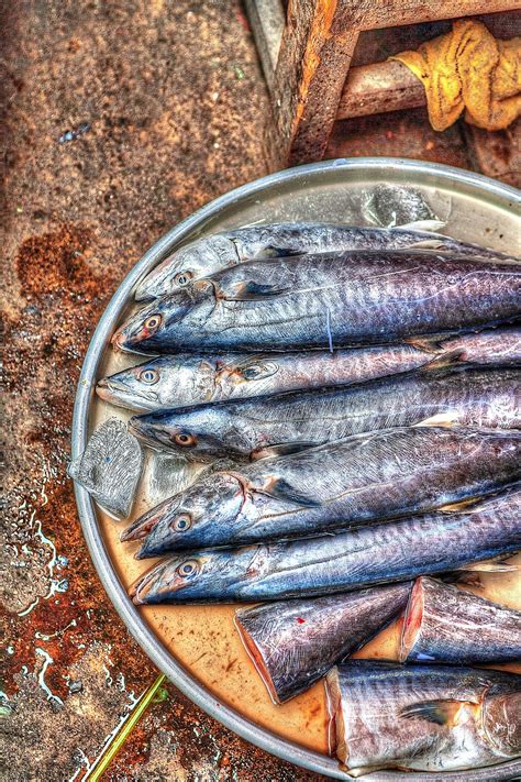 물고기 음식 식품 Pixabay의 무료 사진 Pixabay 물고기 음식 식품 Pixabay의 무료 사진 Pixabay