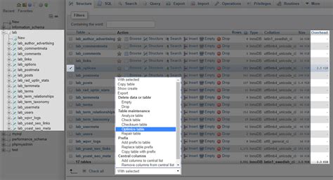 Best Guide On Wordpress Database Optimization Infophilic
