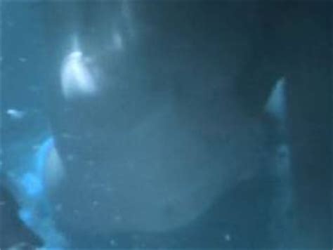 Saga Curse Of The Shadow Nude Scenes Aznude