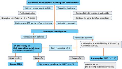 Diagnosis And Management Of Ectopic Varices In Portal OFF