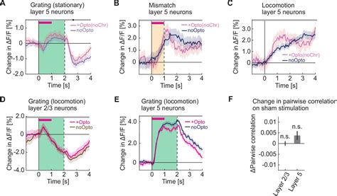 Figures And Data In Cholinergic Input To Mouse Visual Cortex Signals A Movement State And