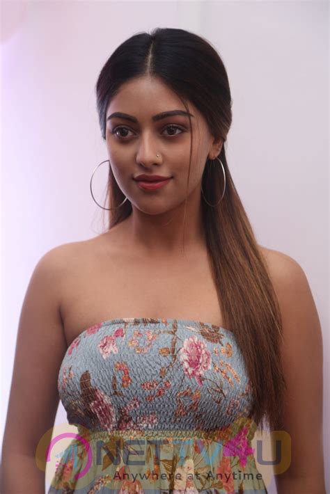 Actress Anu Emmanuel Hot Images 531314 Galleries And Hd Images Actress Anu Emmanuel Hot Images 531314 Galleries And Hd Images
