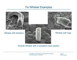 Tin Whisker Phenomenon Mitigation And Testing Overview V2 Pdf