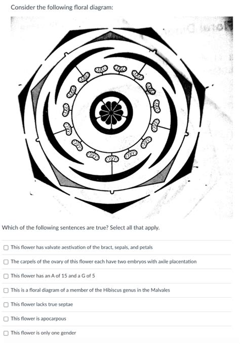 Solved Consider The Following Floral Diagramconsider The