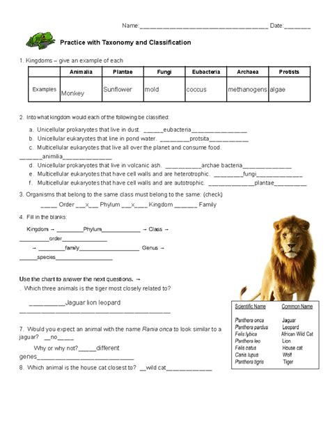 Practicewithtaxonomyandclassification Name