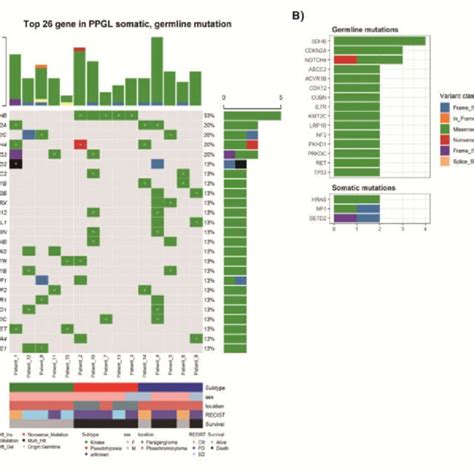 Next Generation Sequencing Ngs Based Copy Number Variant Cnv