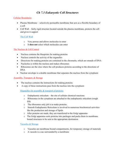 Eukaryotic Cell Structures Lecture Notes